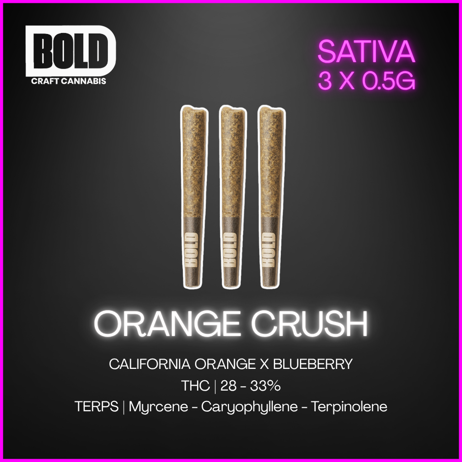 Bold - Orange Crush Pre-Roll - 1.5G – Pineapple Victoria
