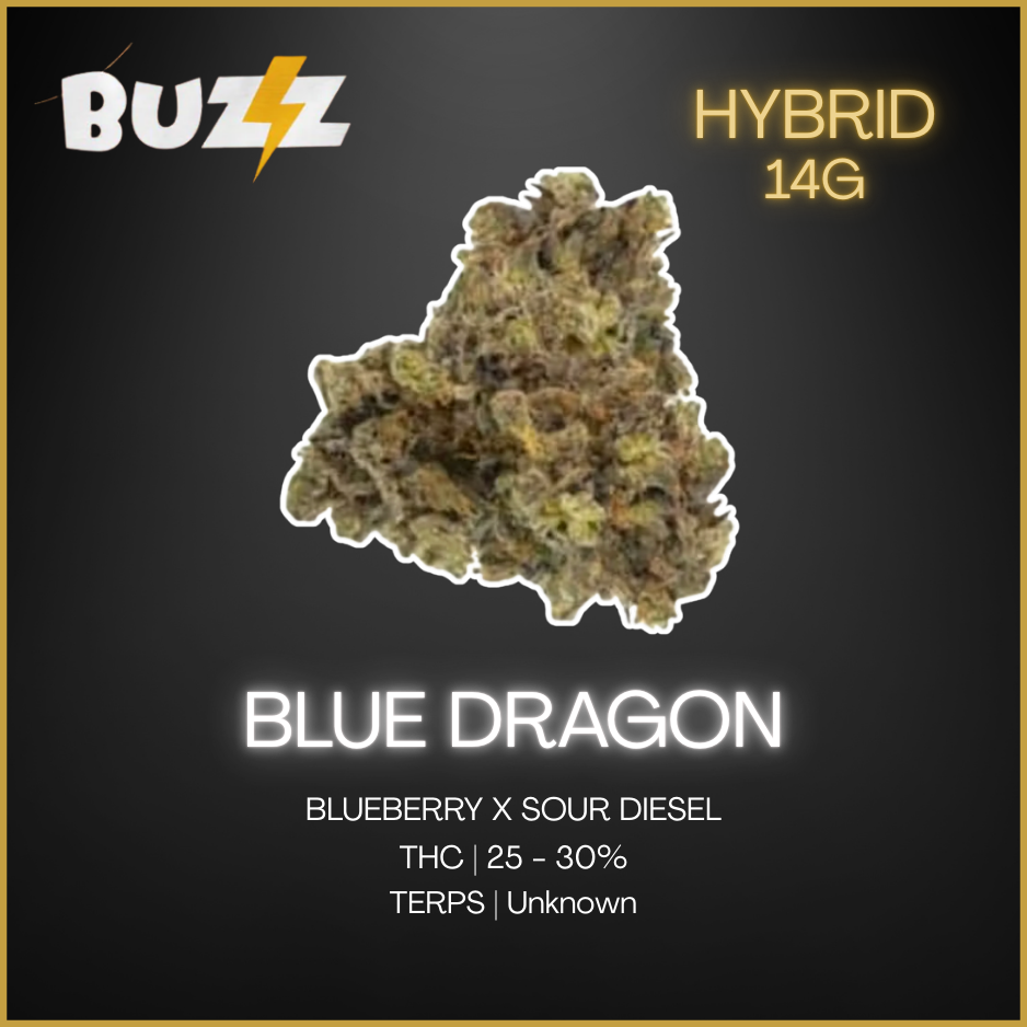 Buzz - Blue Dragon Lto - 14G – Pineapple Victoria