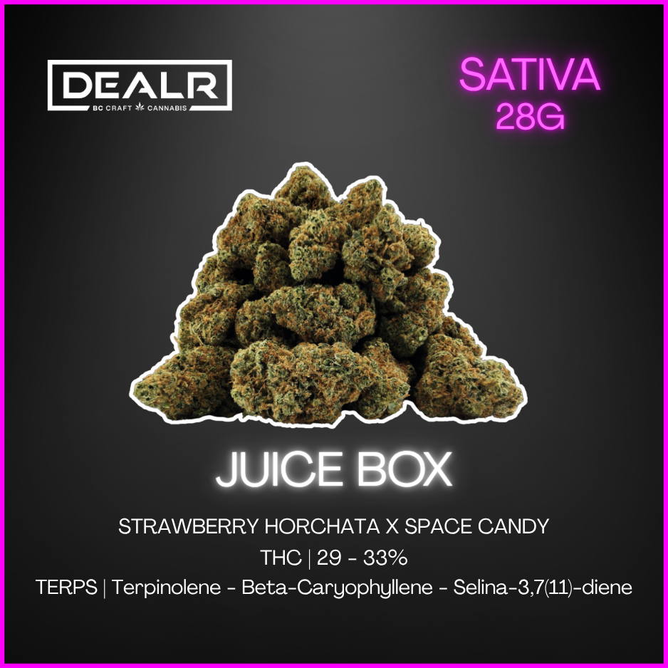 Dealr - Juice Box - 28G – Pineapple Victoria